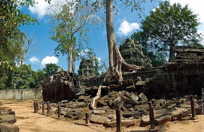 Giant Trees At the Cambodian Temple of Ta Prohm | Amusing Planet